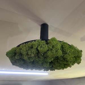 Circle Moss Ceiling Tiles Custom Panels Wall Moss Art Green Natural ...