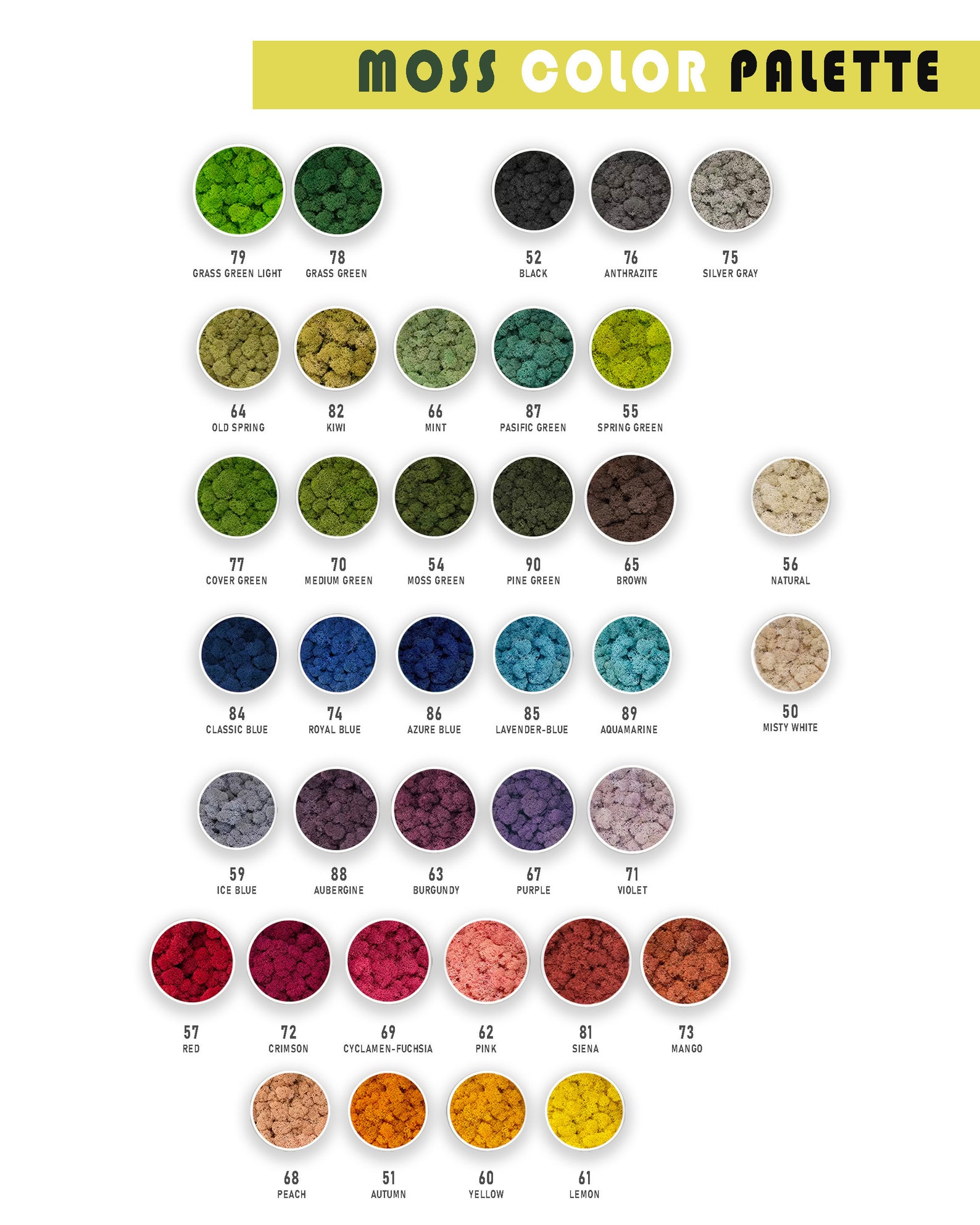 Green Moss Wall Cork Panel Live Preserved Moss Wall Cork Strip ...