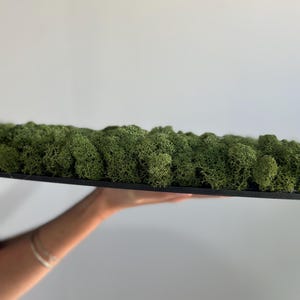 Moss Ceiling Tiles Custom Panels Wall Moss Art Green Natural Dried Moss ...