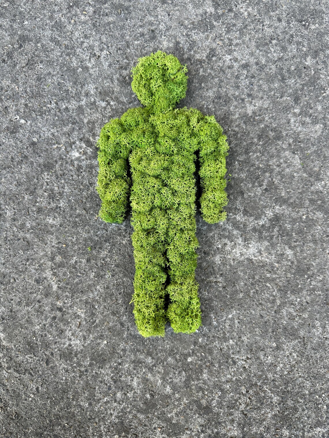 Moss Wc Sign Restroom Sign With Preserved Moss Toilet Sign Men's Room ...