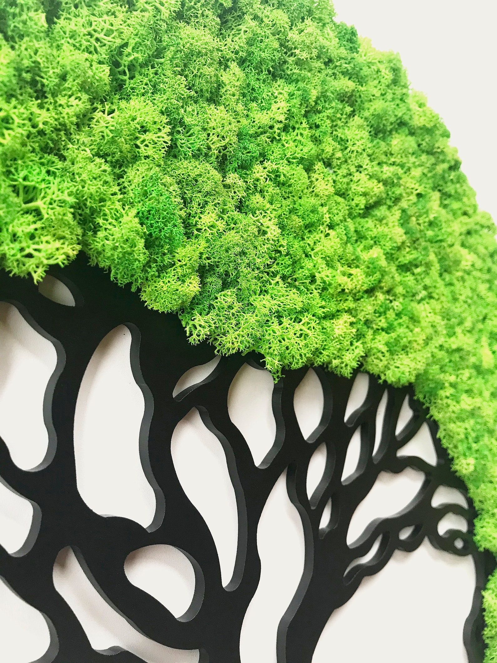 Tree of Life Extra Large Moss Wall Art Wall Preserved Moss Decor Wood ...