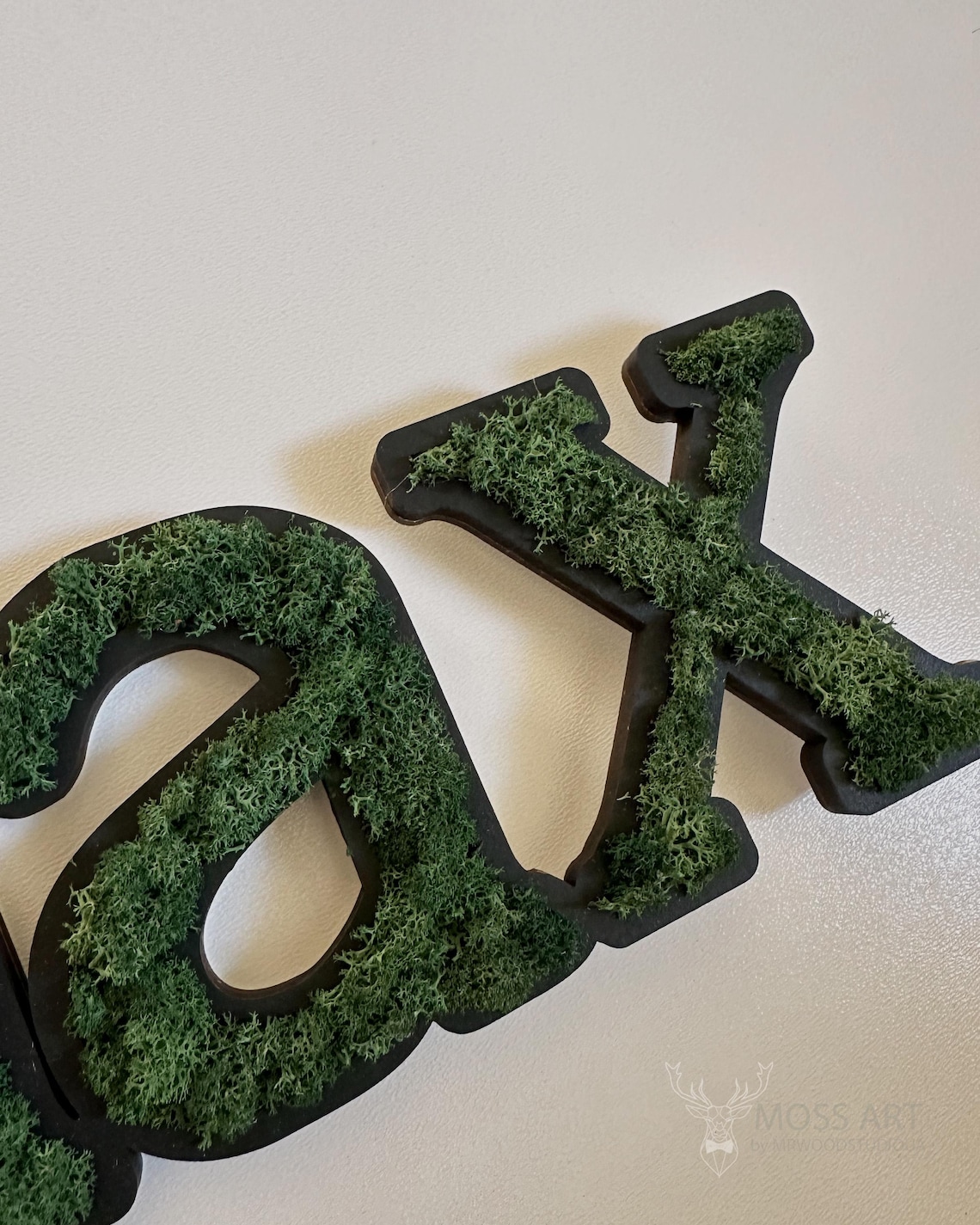 Custom Logo Moss Sign Moss Wall Art Decor Business Logo Moss Sign Bar ...