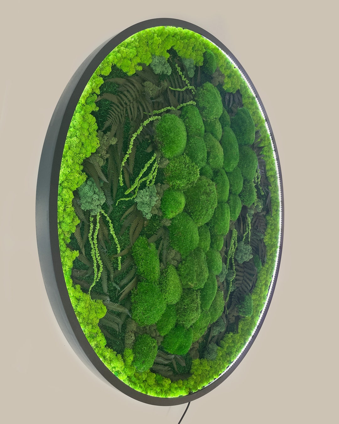 Round Moss Wall Art Extra Large LED Wall Moss Decor Moss Wall Art Decor ...