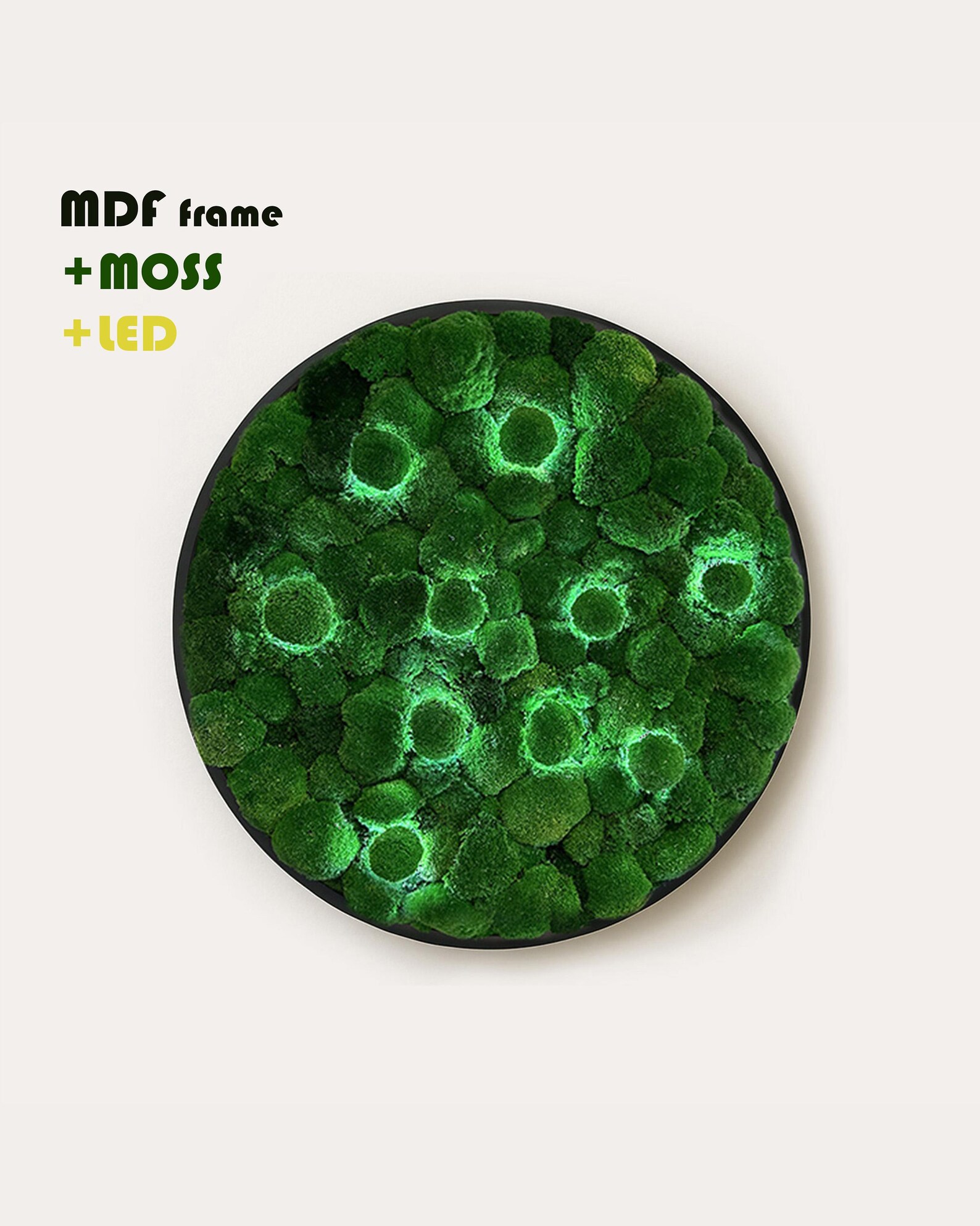 Circle Extra Large Natural Ball Moss Wall Art Wall Moss Decor Moss Wall ...