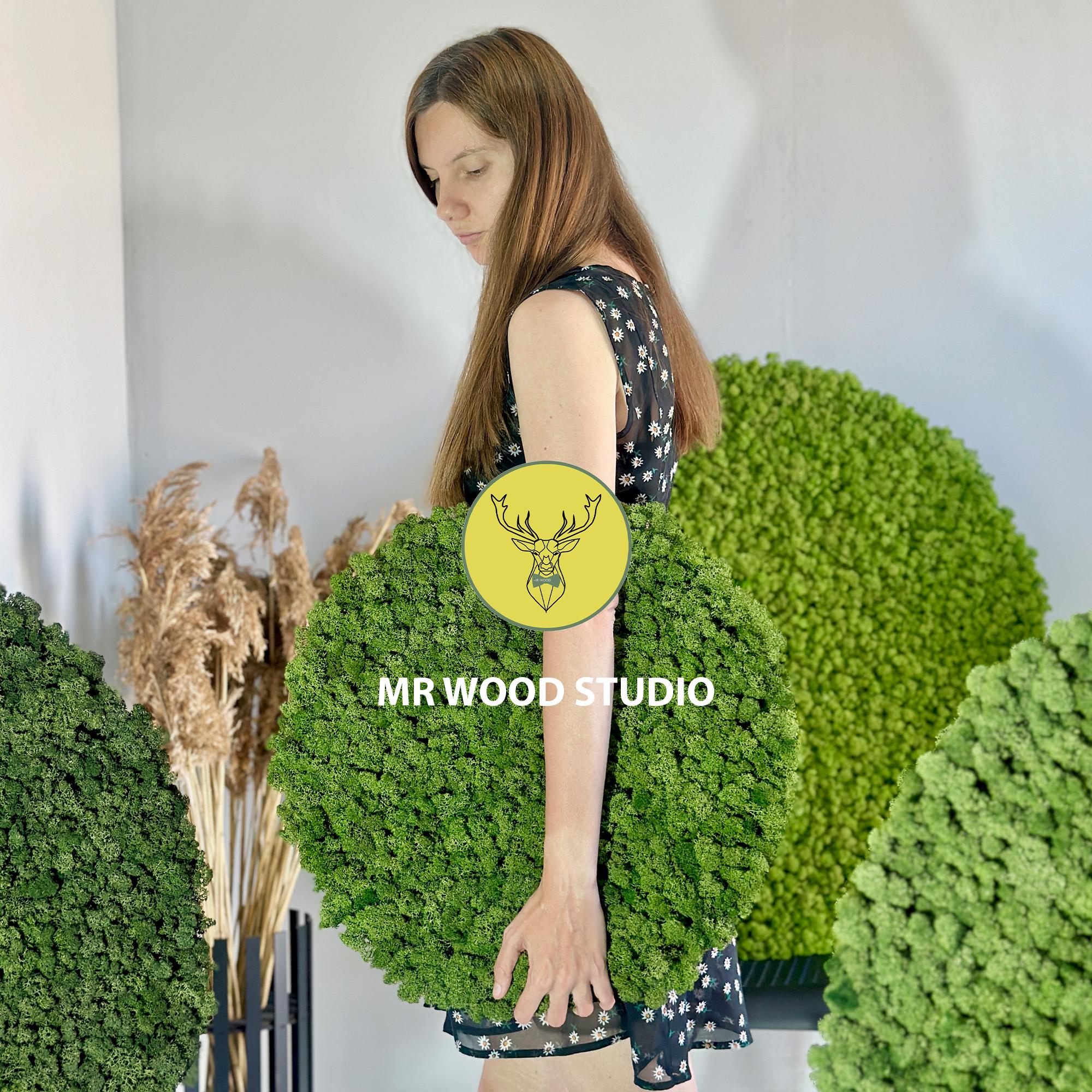 Round Moss Ceiling Art Decor Wall Moss Art Green Moss Ceiling Tiles ...
