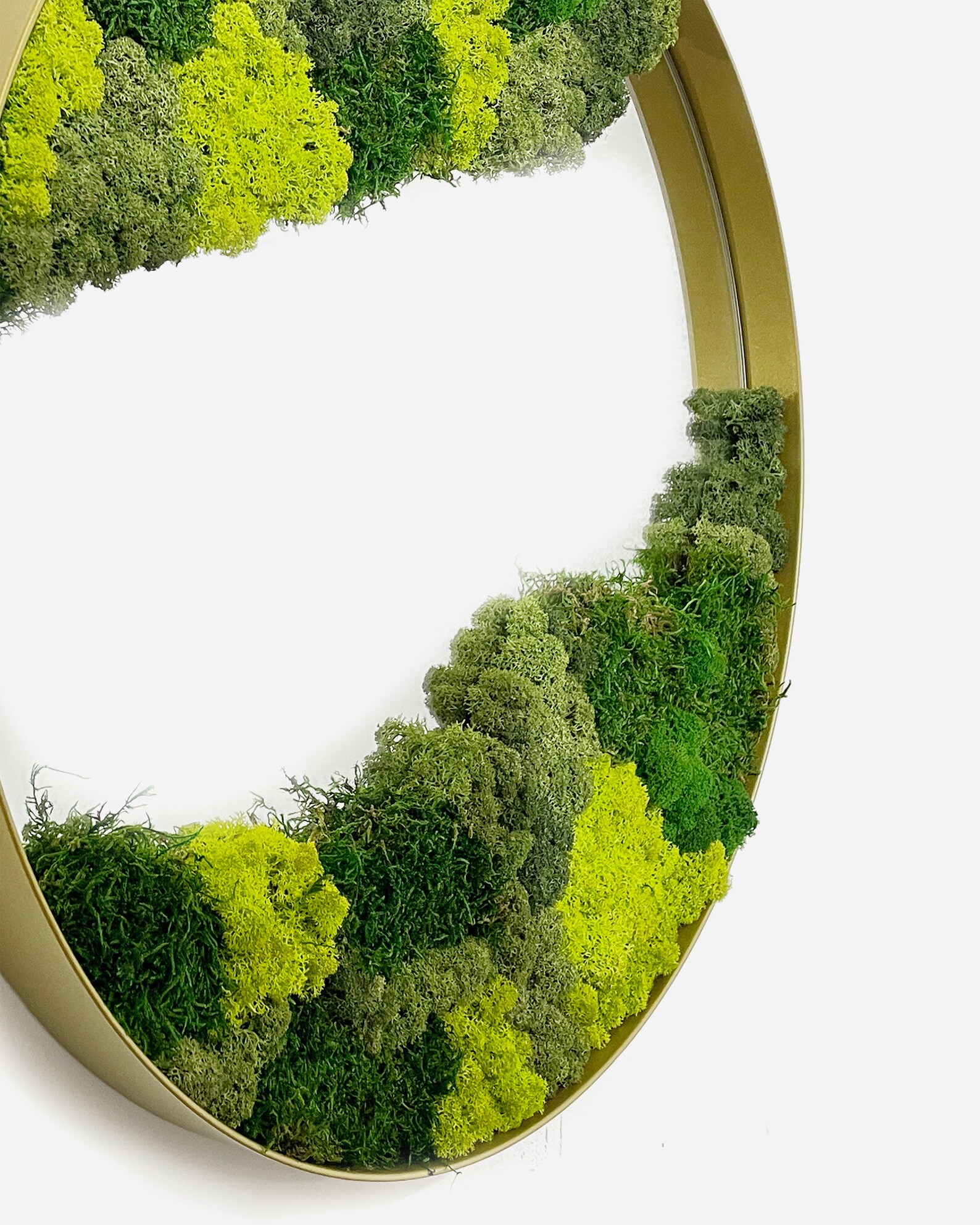 Moss Wall Art Mirror, Metal Frame Bathroom Circle Mirror, Botanical ...