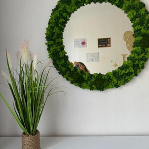 Round Moss Wall Mirror Framed Circle Mirror With Moss Led Round Moss ...