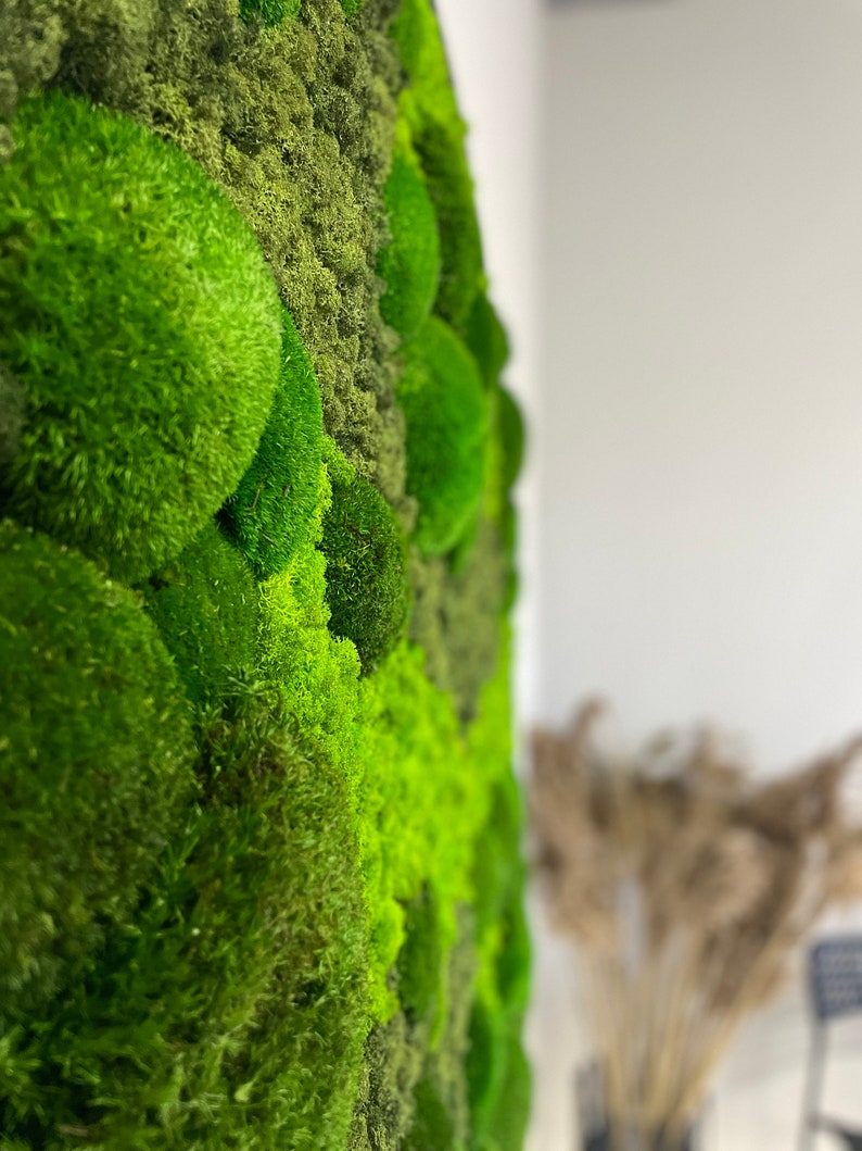 Extra Large Natural Dried Moss Wall Art Wall Moss Decor Moss Wall Art ...