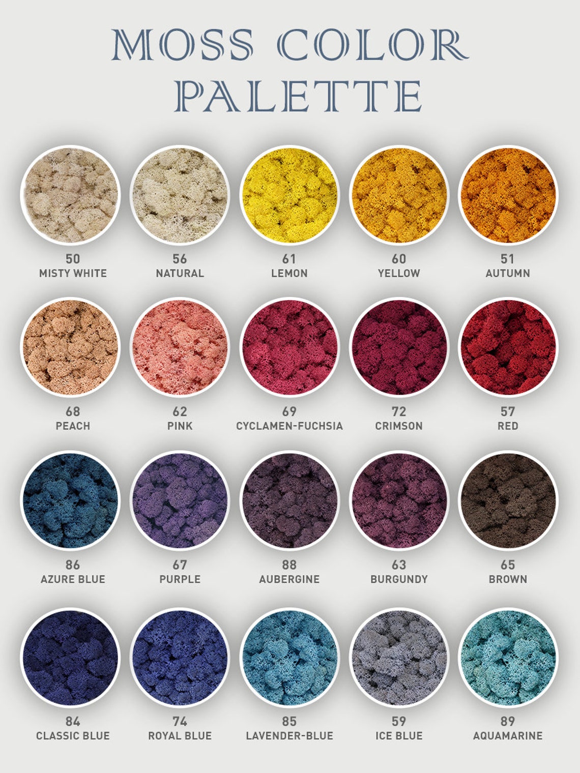 Extra Large Natural Dried Moss Wall Art Wall Moss Decor Moss - Etsy UK