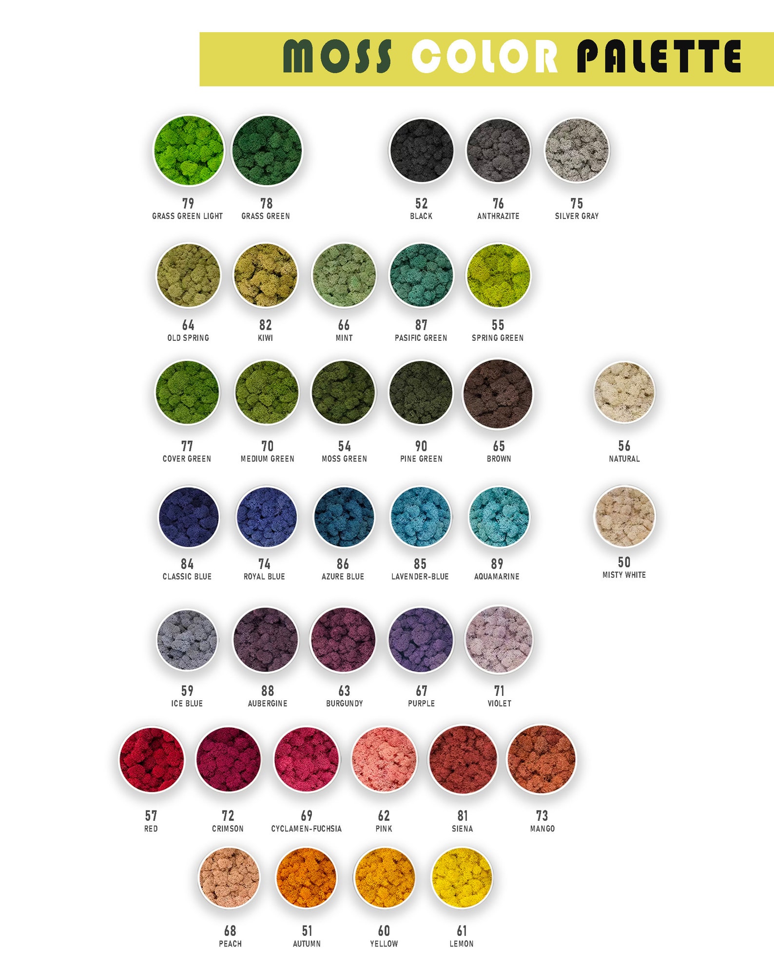 Extra Large Natural Dried Moss Wall Art Wall Moss Decor Moss - Etsy