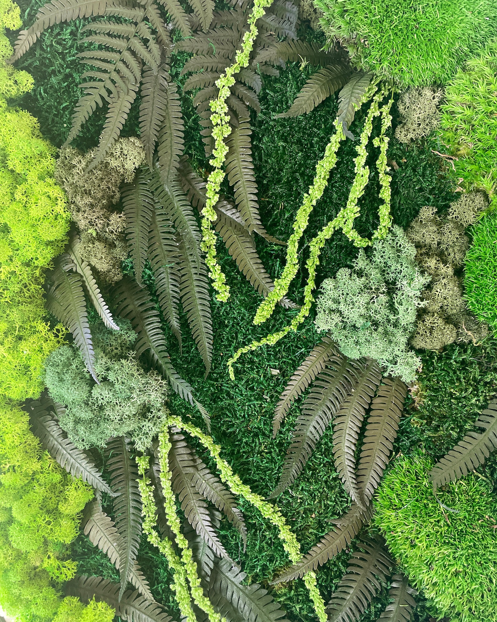 Extra Large Natural Dried Moss Wall Art Wall Moss Decor Moss Wall Art ...