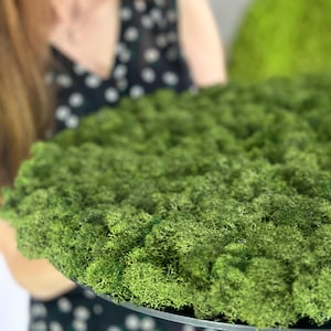 Moss Ceiling Tiles Custom Panels Wall Moss Art Green Natural Dried Moss ...