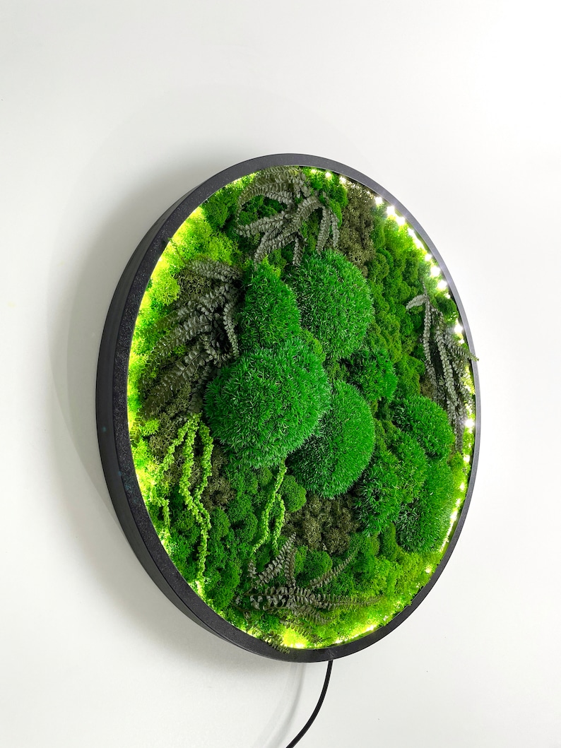 Extra Large Natural Dried Moss Wall Art Wall Moss Decor Moss - Etsy