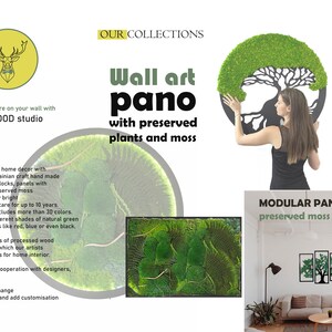 Moss Panels Wall Art Preserved Moss Panels Green Natural Dried Moss ...