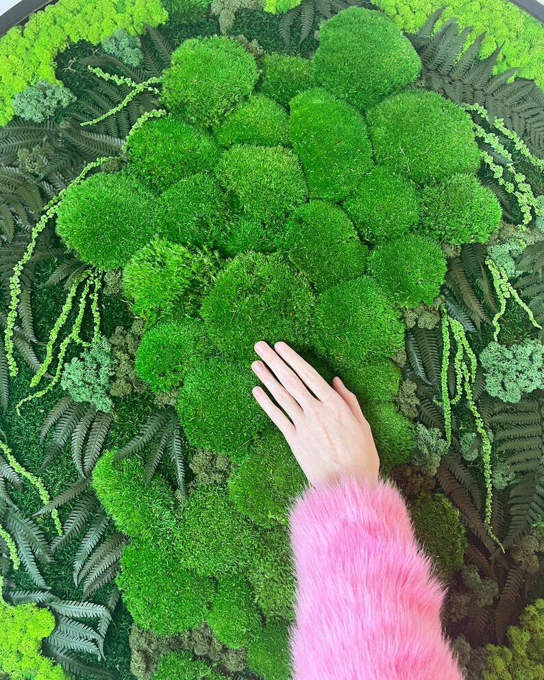 LED Extra Large Natural Dried Moss Wall Art Decor Wall Moss Decor Moss ...