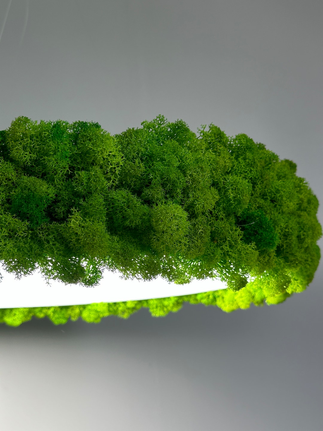 Ceiling Round Light Green Moss Pendant Light, Ceiling Lamp, Office ...