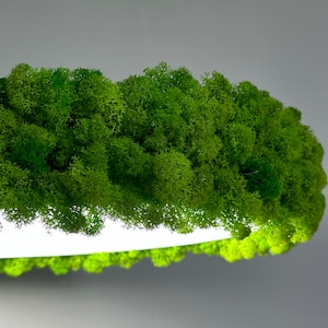 Stabilized Moss Pendant Light, Ceiling Lamp, Dining Room Lighting, Moss ...