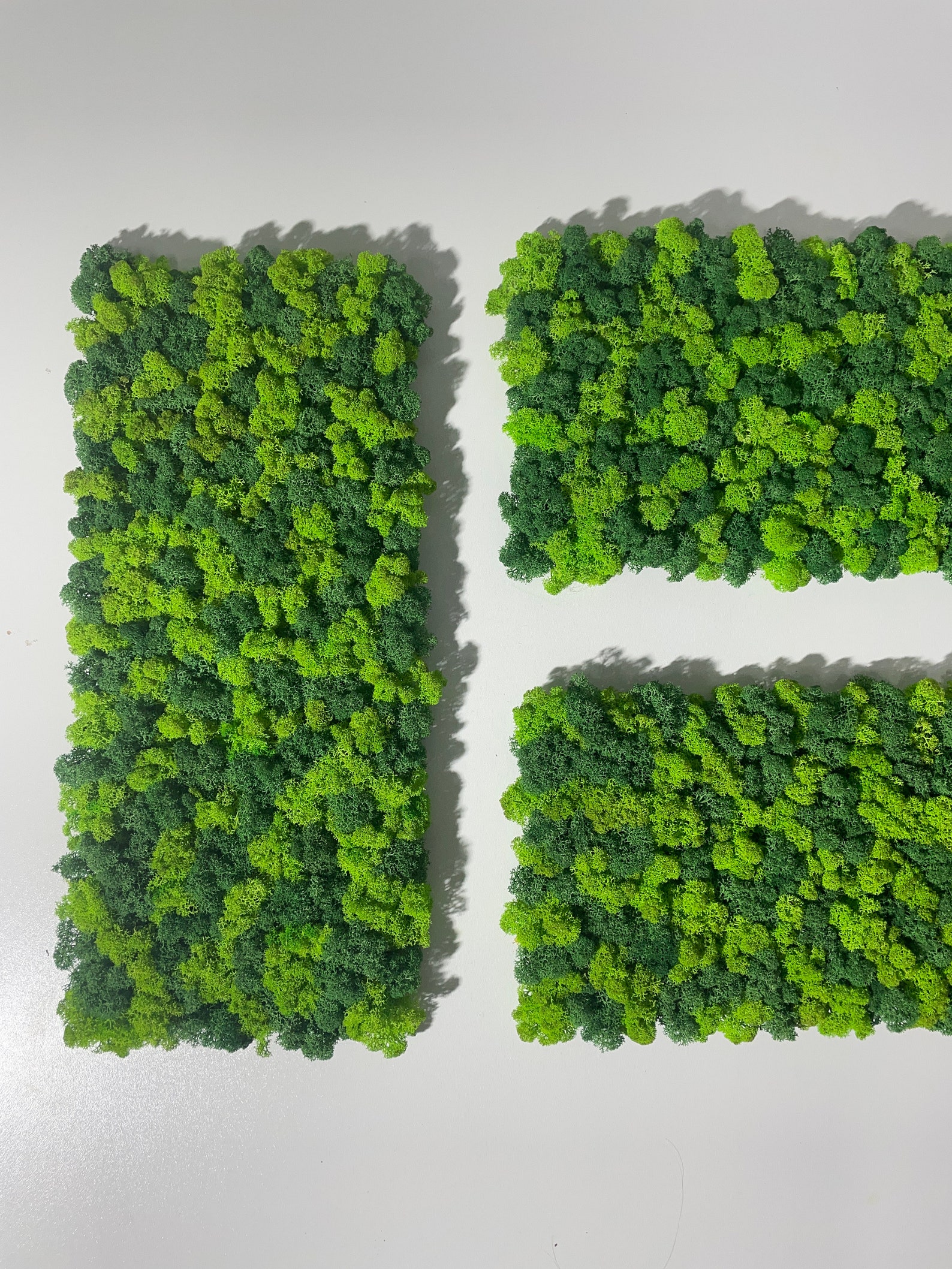 Preserved Moss Panels Wall Natural Dried Moss Art Trendy Wall Art Green ...