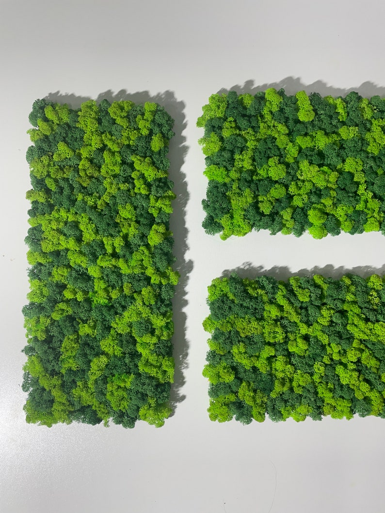 Preserved Moss Panels Wall Natural Dried Moss Art Trendy Wall Art Green ...