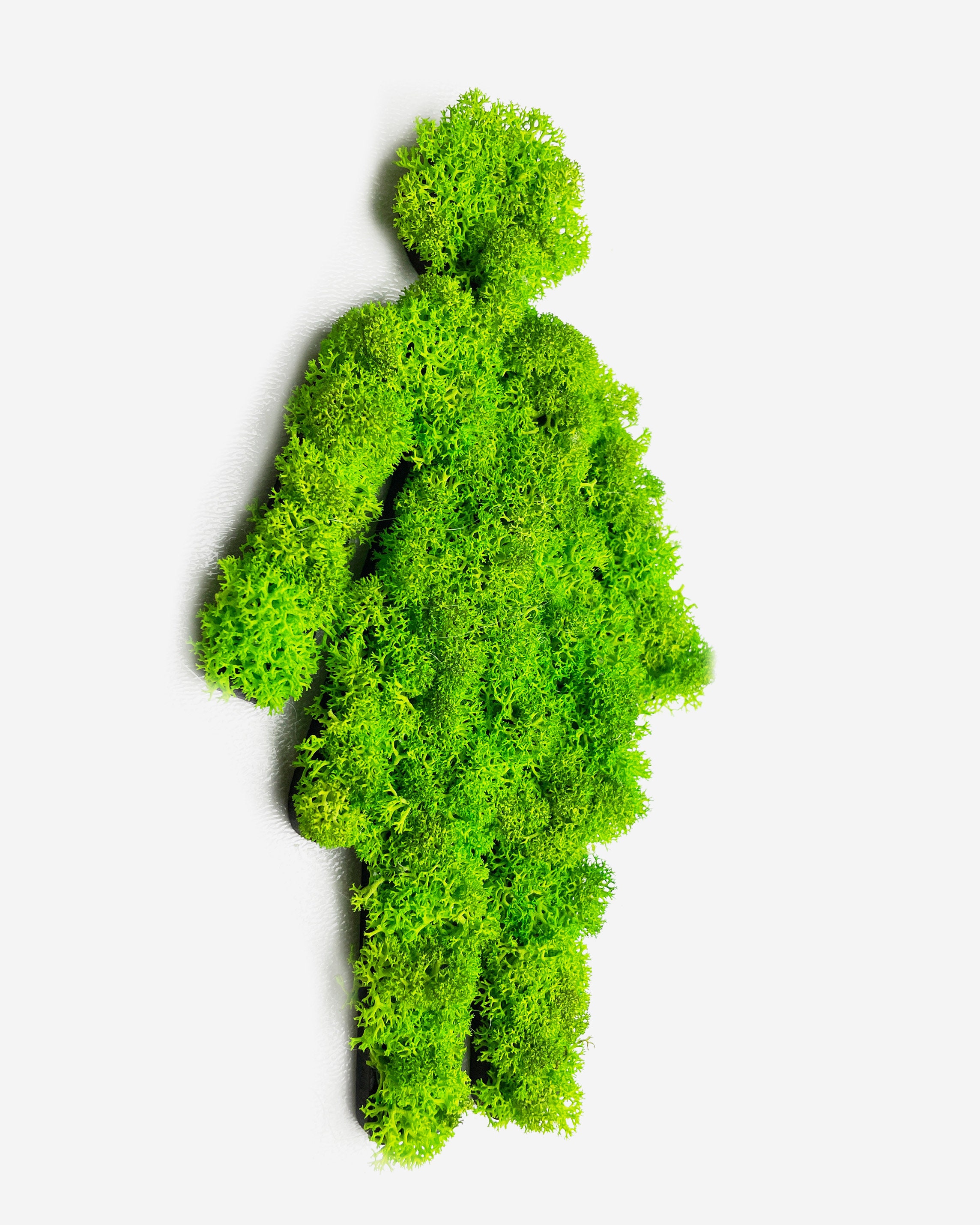 Moss Wc Sign Restroom Sign With Preserved Moss Toilet Sign Men's Room ...