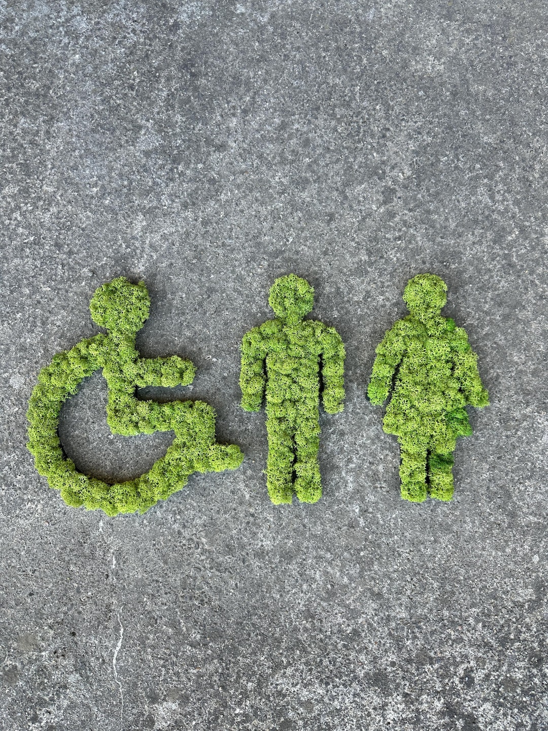 Moss Wc Sign Restroom Sign With Preserved Moss Toilet Sign Men's Room ...