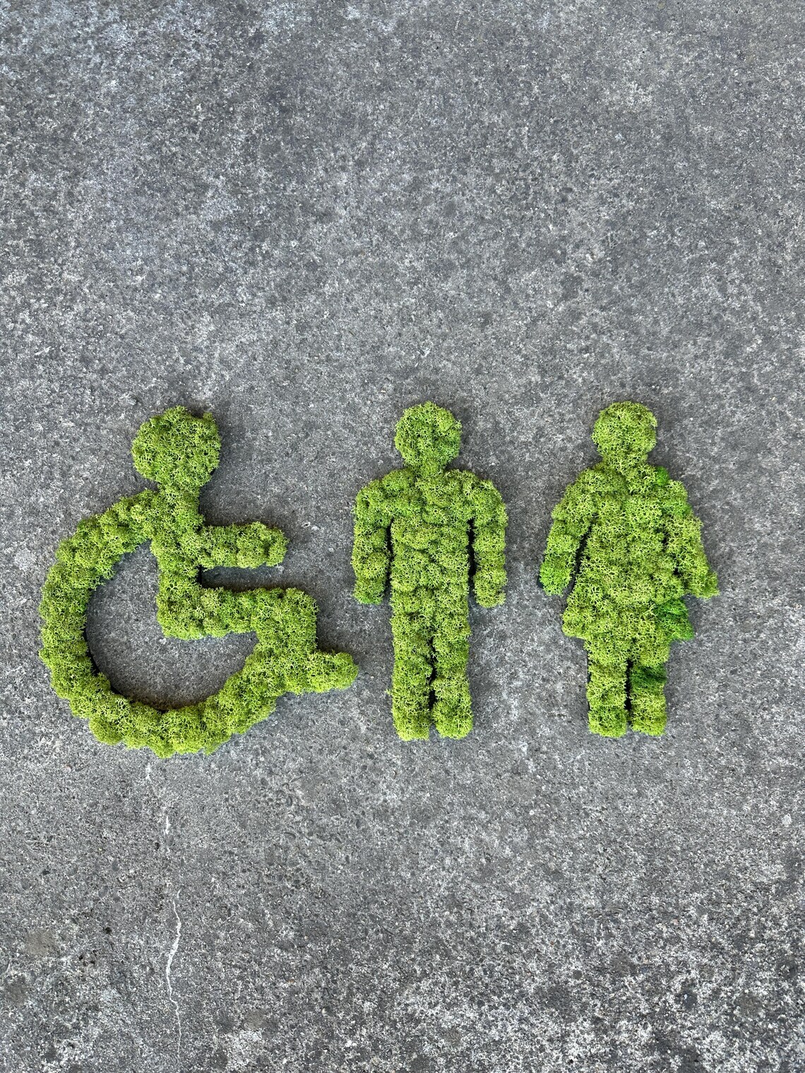 Moss Wc Sign Restroom Sign With Preserved Moss Toilet Sign Men's Room ...