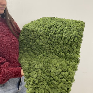 Moss Panels Wall Art Preserved Moss Panels Green Natural Dried Moss ...