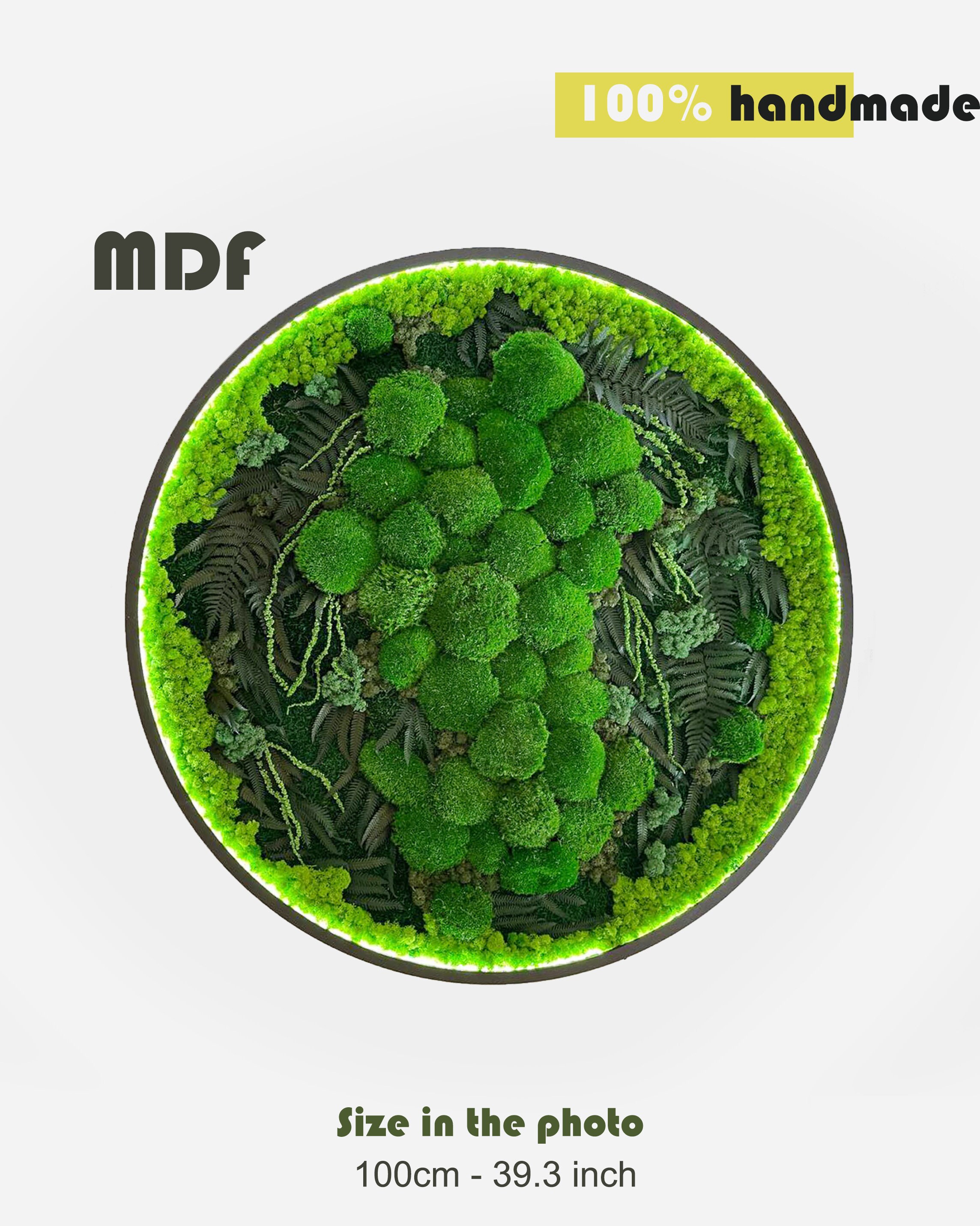 LED Extra Large Natural Dried Moss Wall Art Decor Wall Moss Decor Moss ...