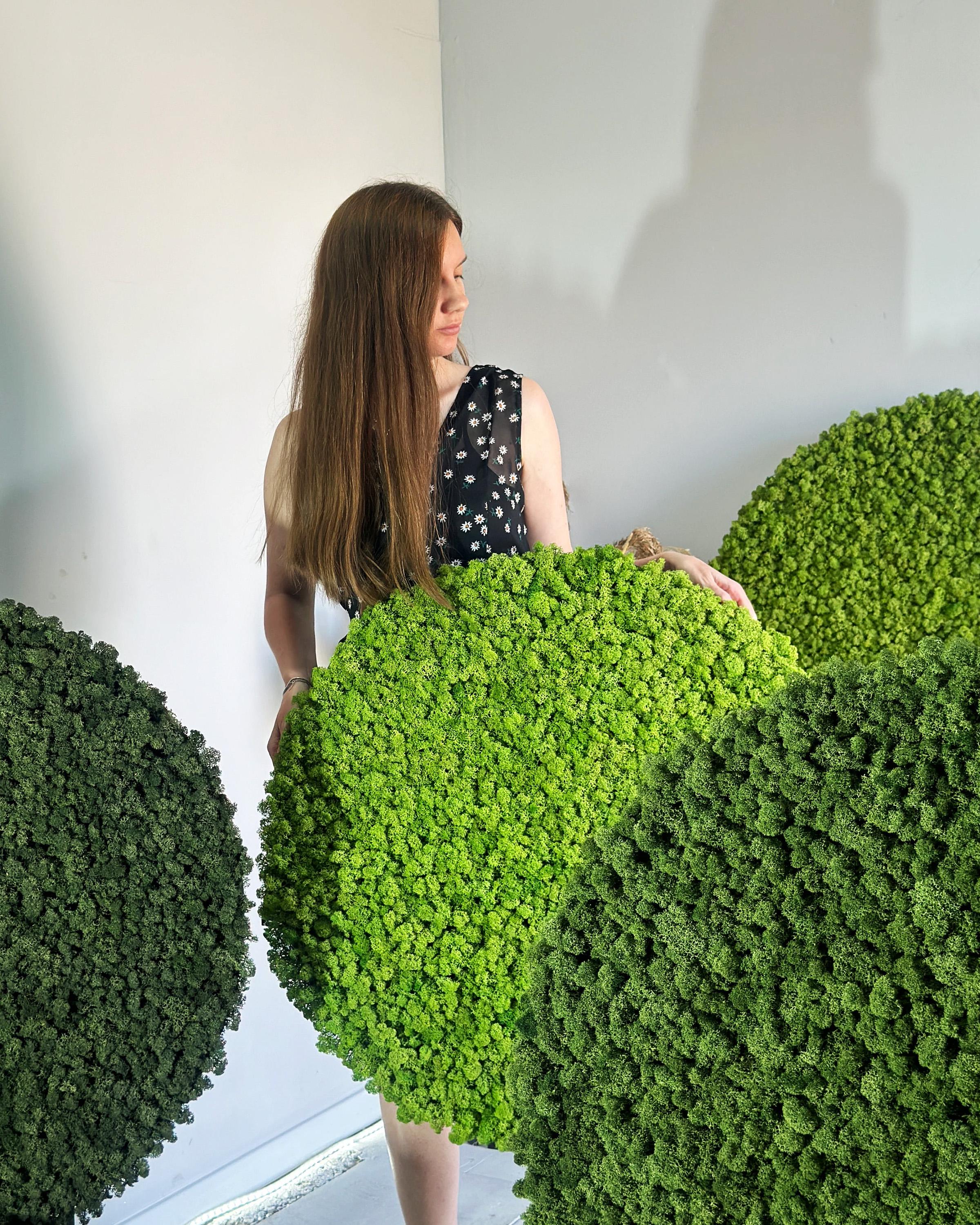 Round Moss Ceiling Art Decor Wall Moss Art Green Moss Ceiling Tiles ...