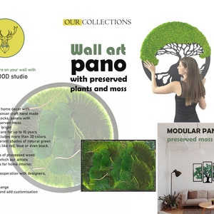 Wall Moss Ceiling Tiles Panels Moss Ceiling Panels Natural Dried Moss ...