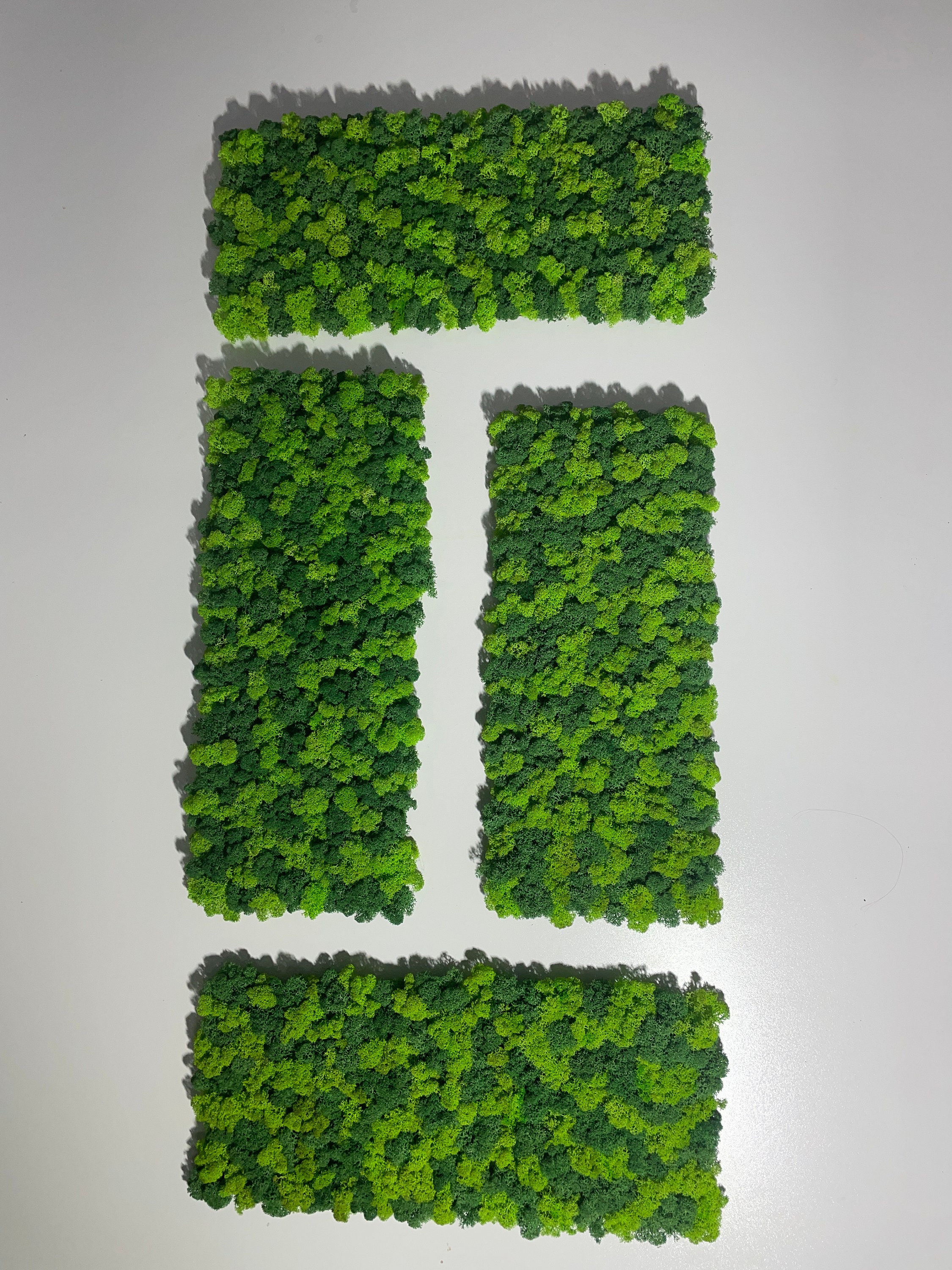 Preserved Moss Panels Wall Natural Dried Moss Art Trendy Wall Art Green ...