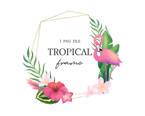 Tropical Frame Clipart Flamingo Floral Wreath Digital - Etsy