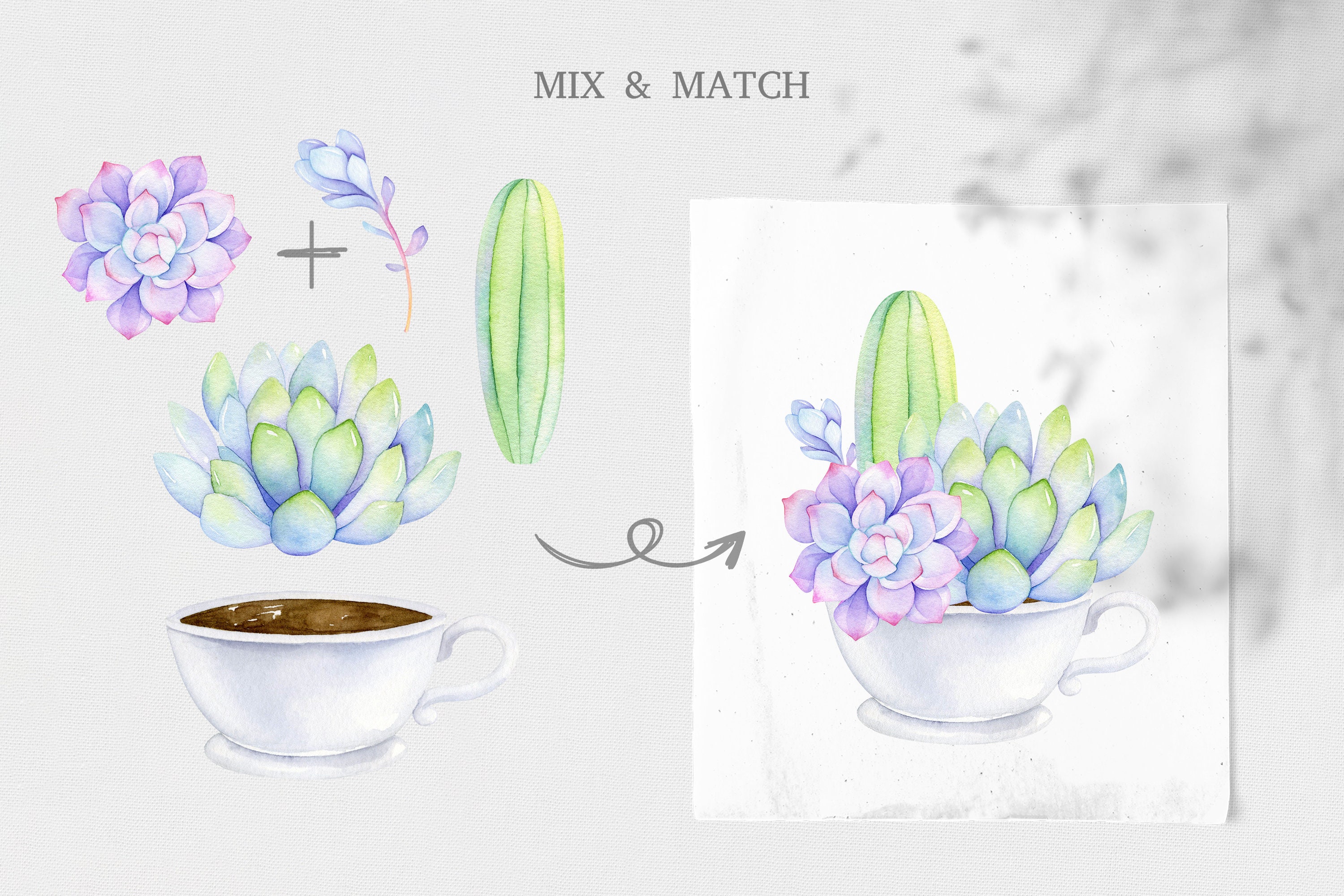Watercolor Succulent Clipart Cactus Garden Creator DIY Mix - Etsy