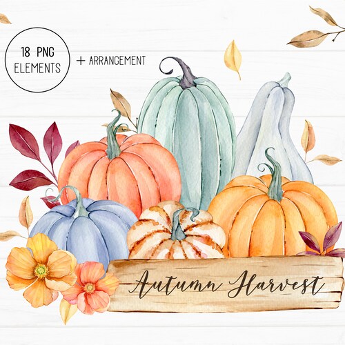 Hello Fall Gnomes Pumpkins PNG Clipart Instant Download - Etsy