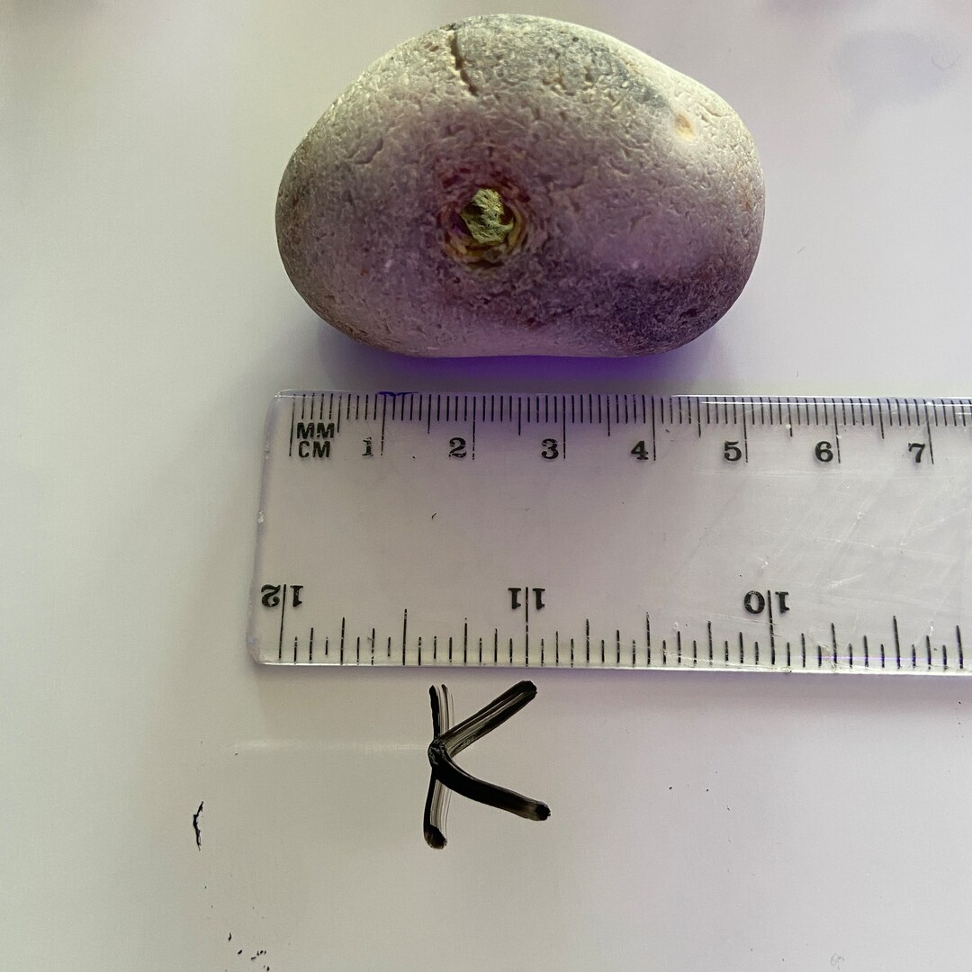 Witch Hag Stone Adder Stone Fairy Stone Holey Stone Odin Stone Witch ...