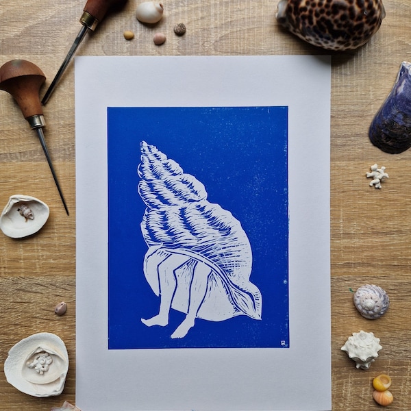Cut Seashells - Etsy