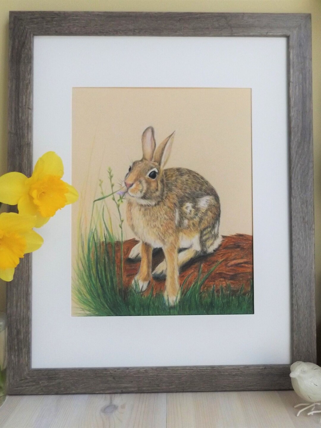 Cottontail Rabbit Art Print, Cottontail Rabbit Drawing Fine Art Print ...