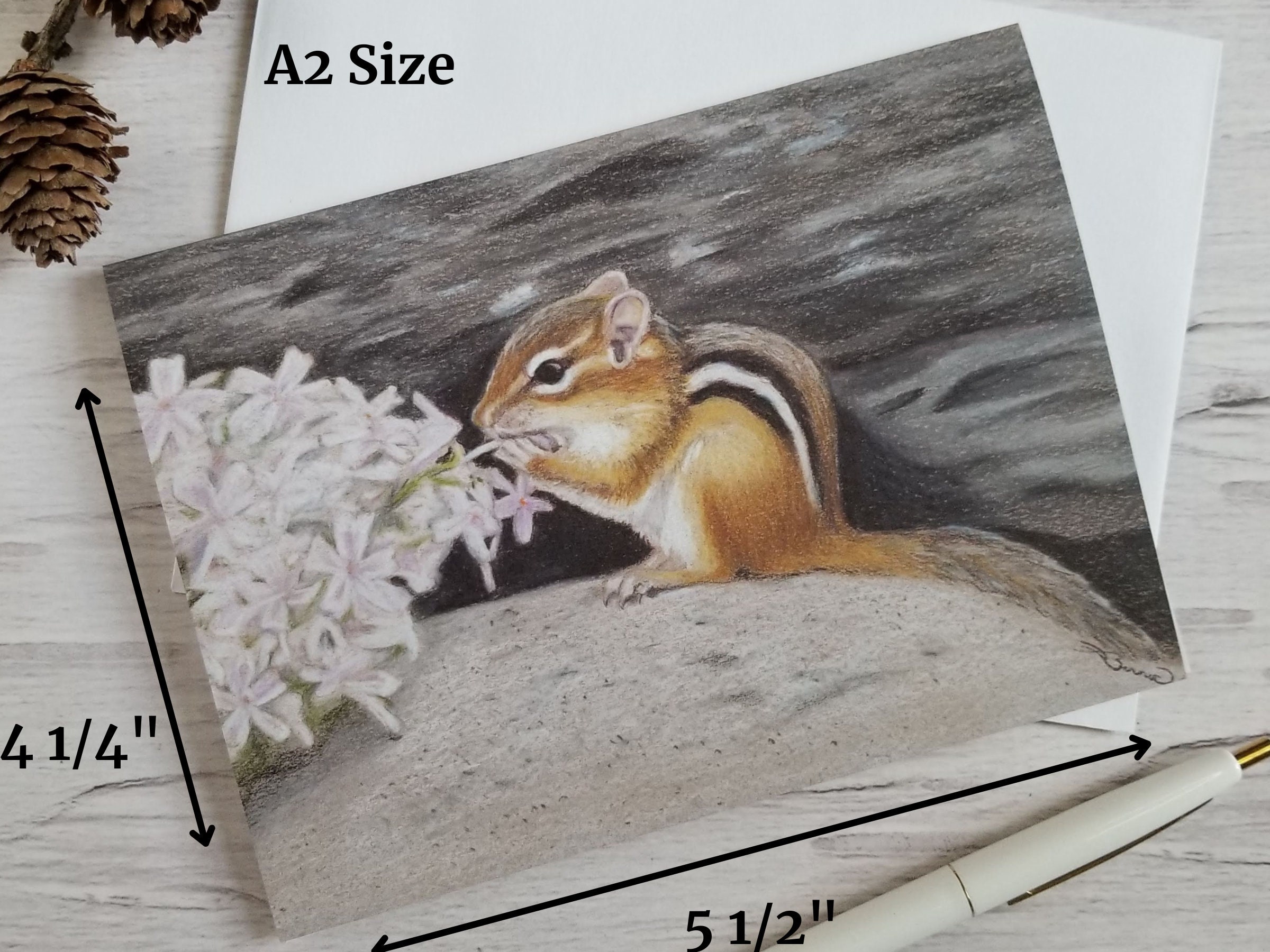 Chipmunk Card, Woodland Animal Cards, Wildlife Greeting Card - Etsy