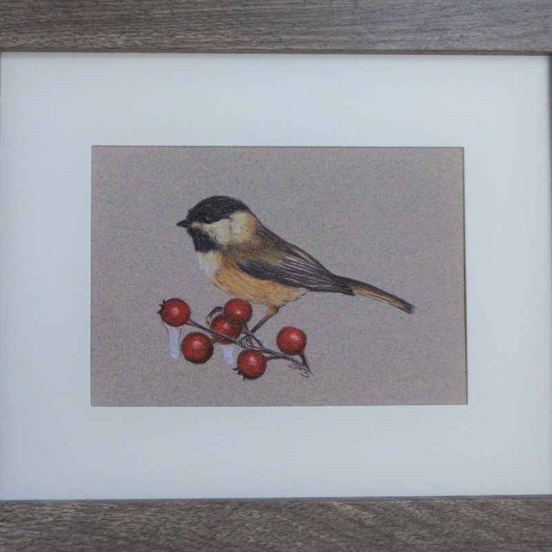 Chickadee Drawing - Etsy