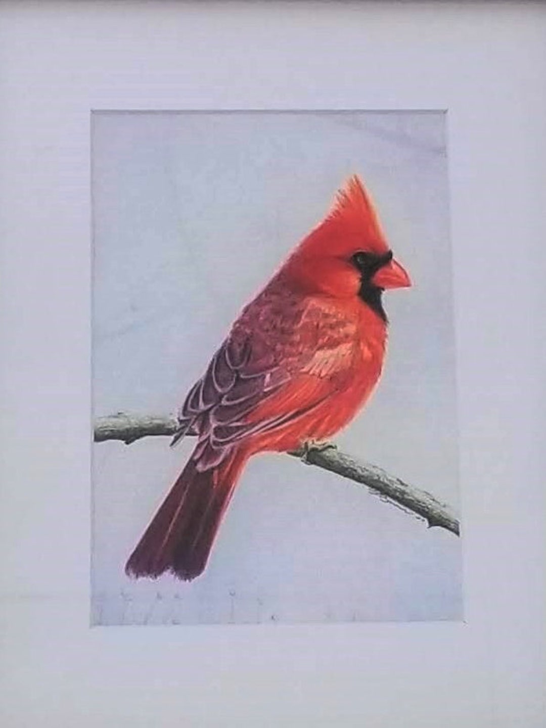Red Cardinal Art Print, Cardinal Drawing Fine Art Print - Etsy