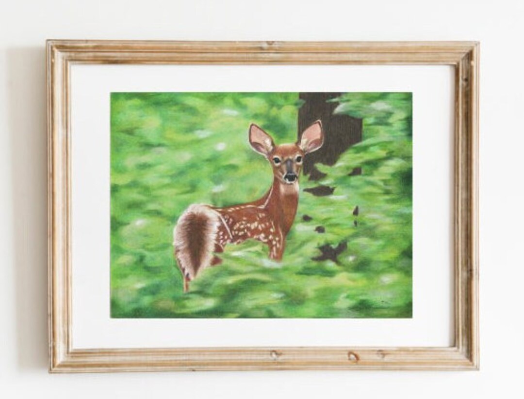 Whitetail Fawn Art Print, Fawn Drawing Fine Art Print, Woodland Fawn ...