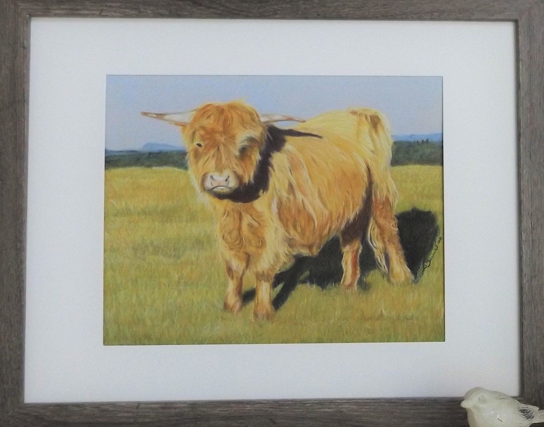 Scotch Highland Cow Art Print, Shaggy Cow Drawing Fine Art Print ...