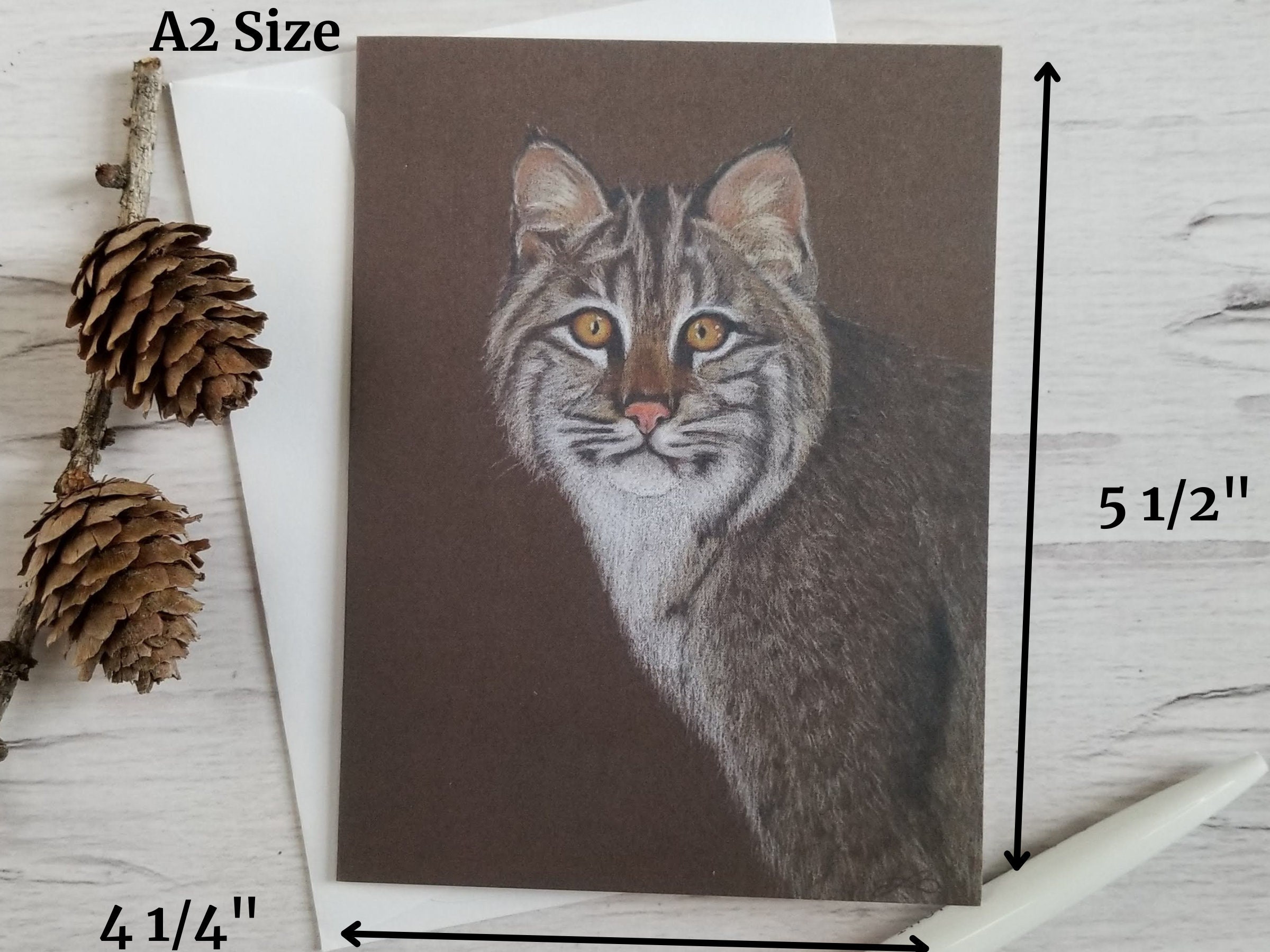 Bobcat Note Card, Woodland Animal Cards, Wildlife Greeting Cards - Etsy