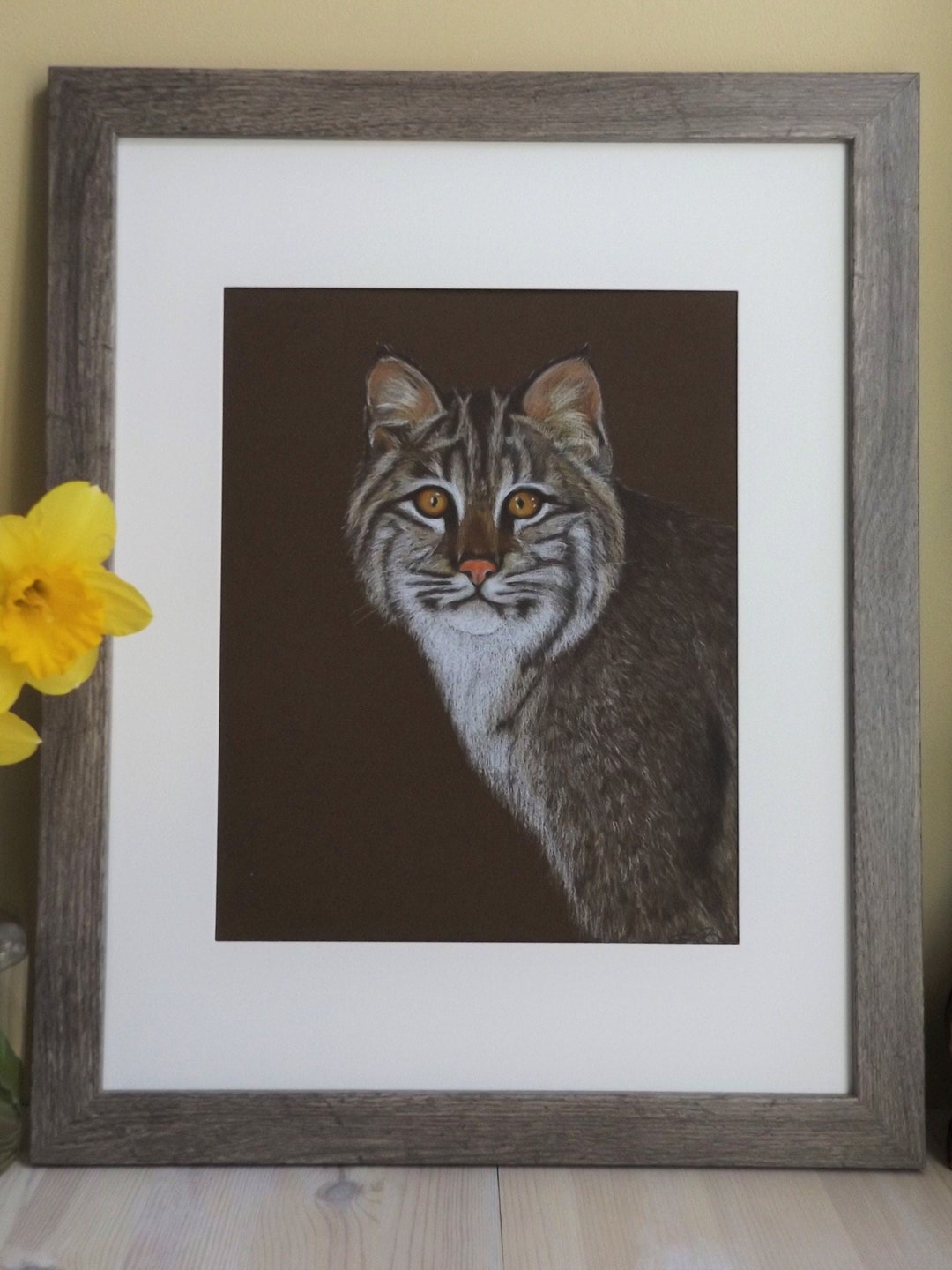Northern Bobcat Art Print, Bobcat Drawing Fine Art Print - Etsy
