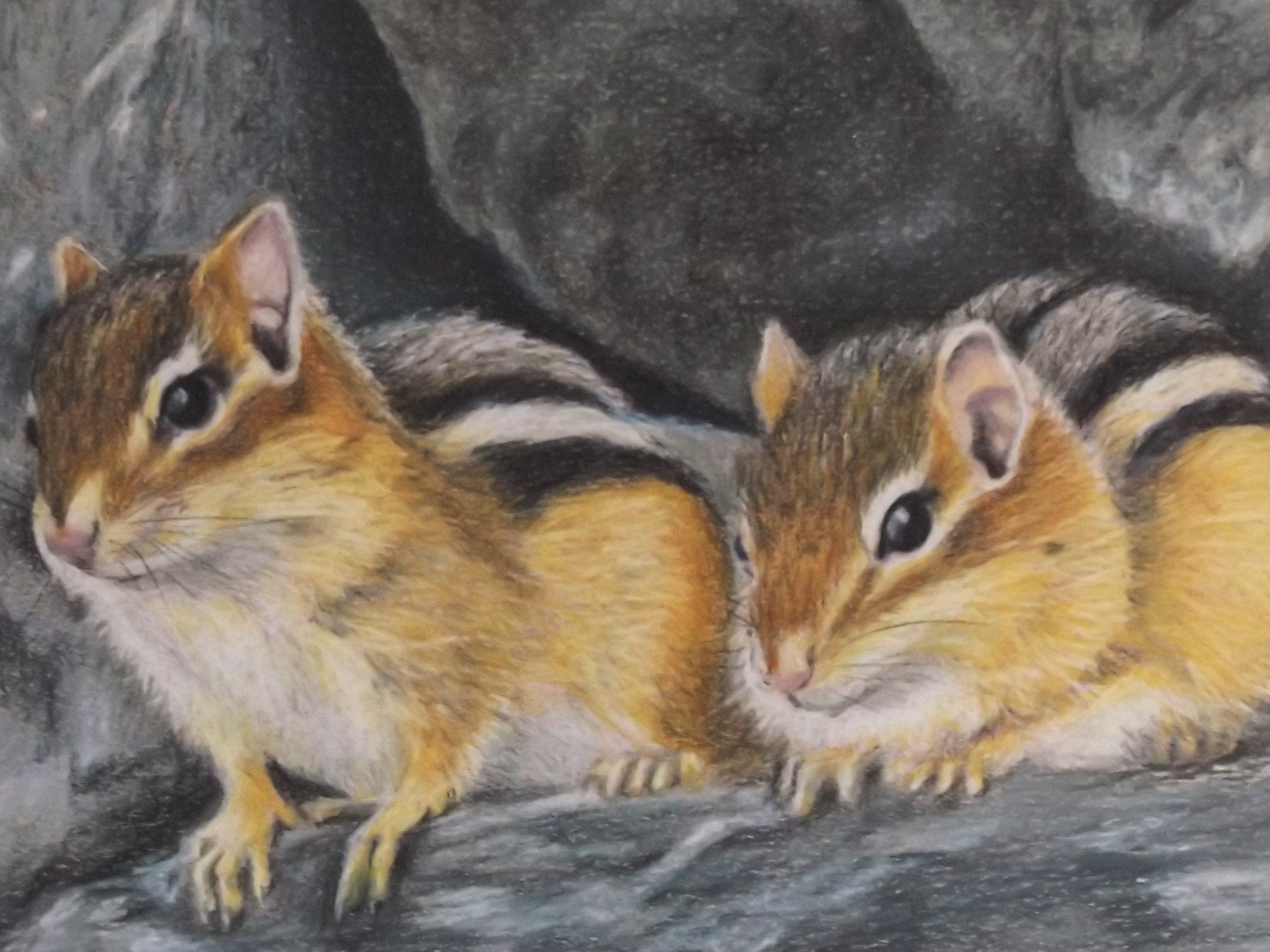 Chipmunk Art Print, Chipmunk Drawing Fine Art Print - Etsy