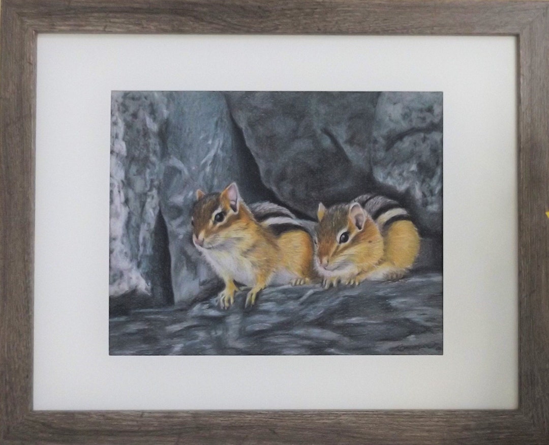 Chipmunk Art Print, Chipmunk Drawing Fine Art Print - Etsy