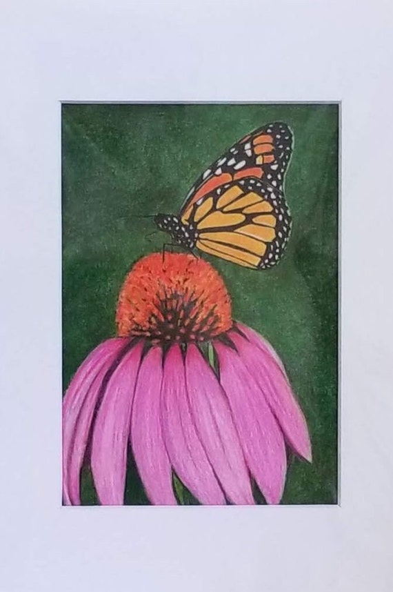 Monarch Butterfly On Flower Drawing