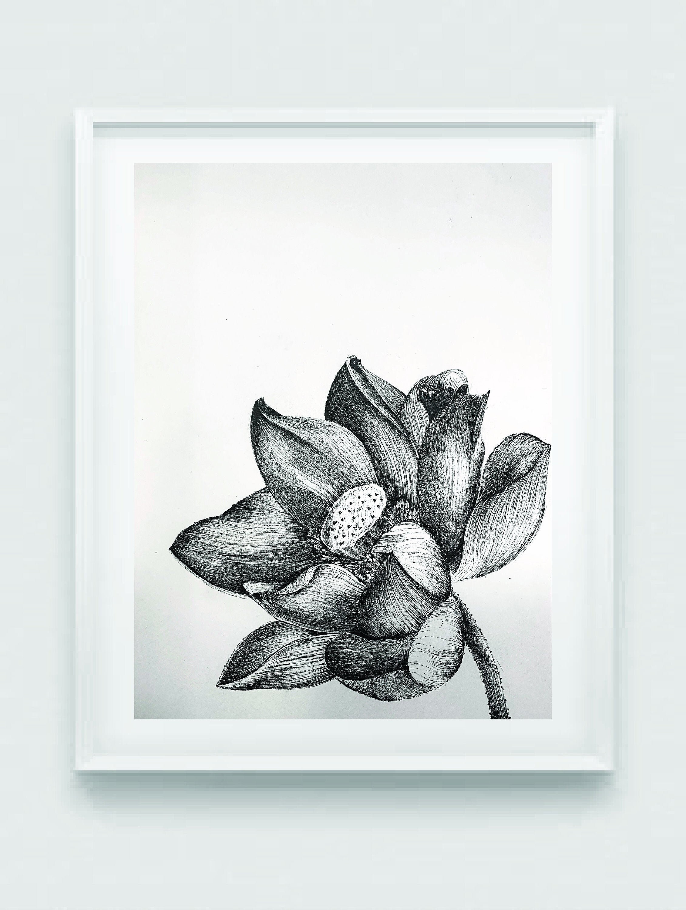 Drawing-lotus-black and White-pen Art-art Print-note Card-flower-wall ...