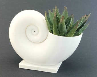 Shell Planter | Etsy