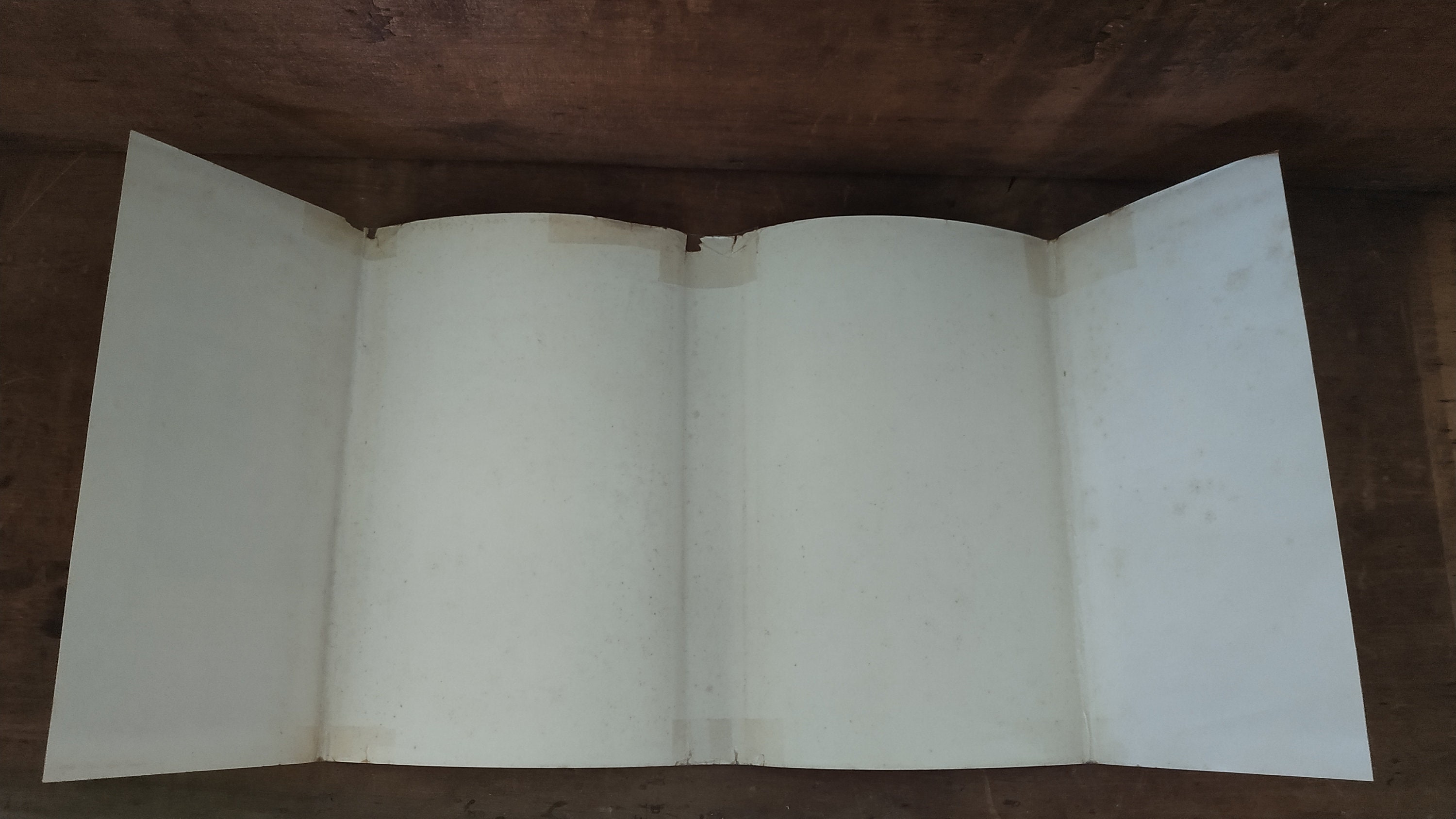 Nature Knows No Color-line J A Rogers 1952 Third Edition - Etsy